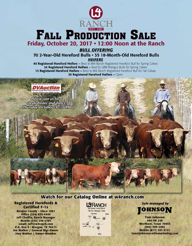 Johnson Cattle Marketing