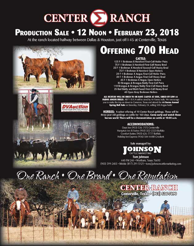 Johnson Cattle Marketing