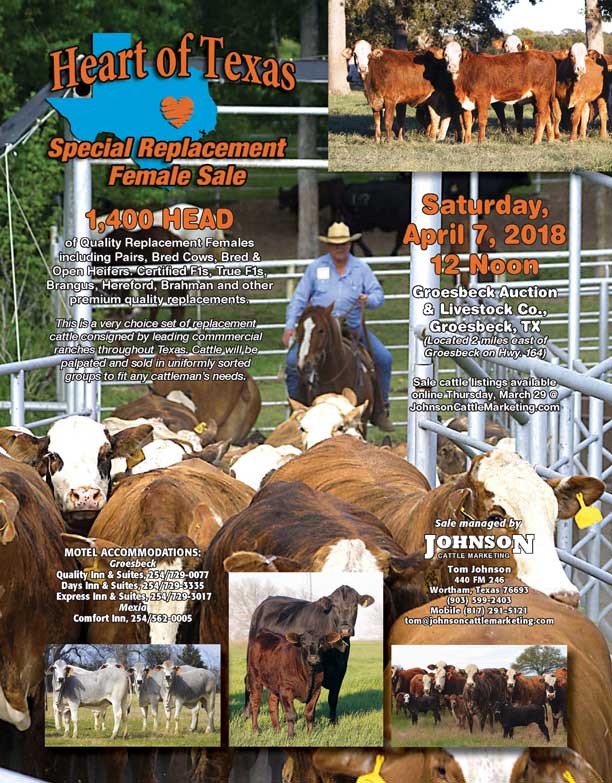 Johnson Cattle Marketing